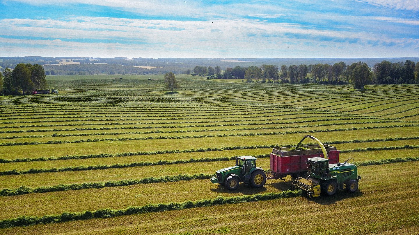 Crop Farming | Business Segments | Ekosem-Agrar