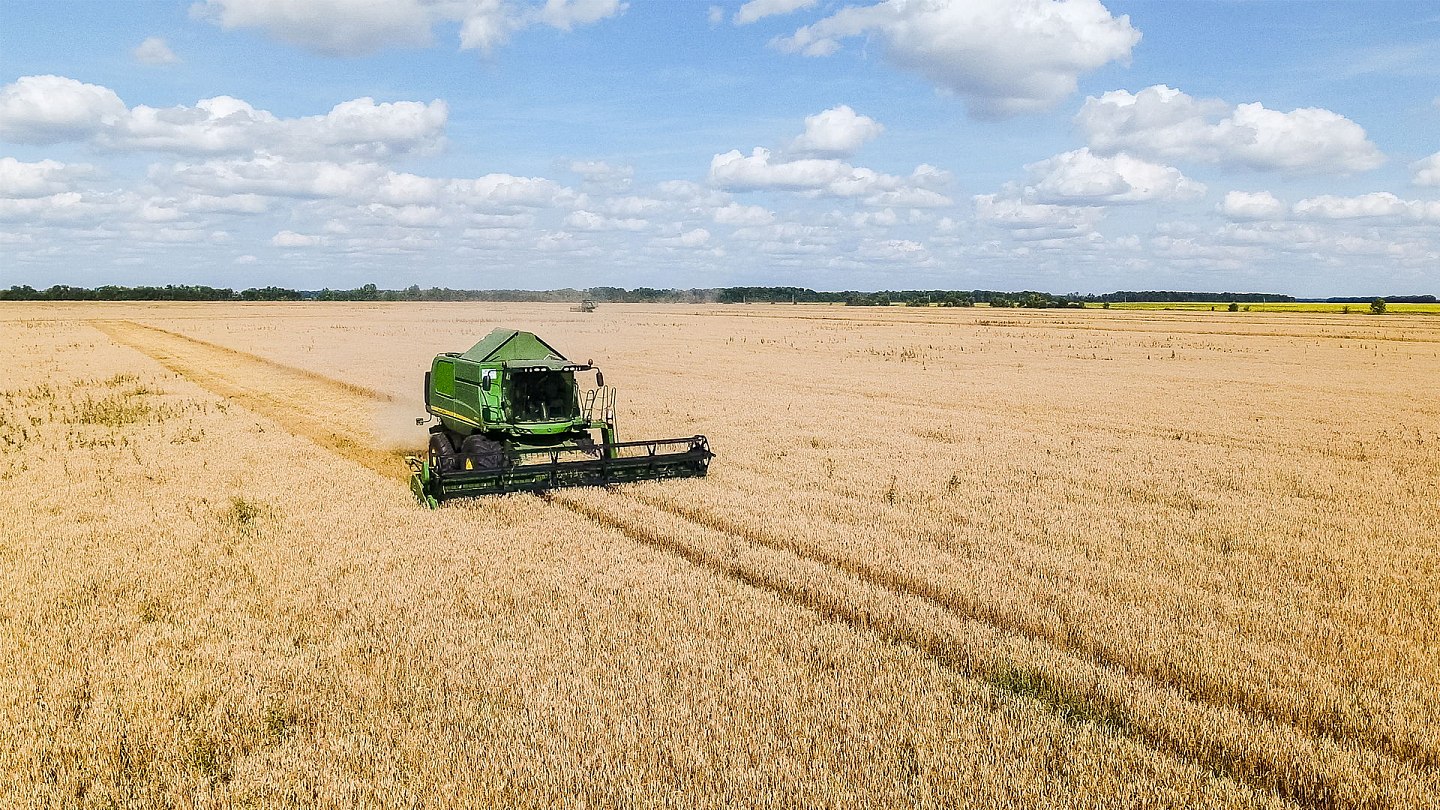 Ackerbau | Geschäftsfelder | Ekosem-Agrar