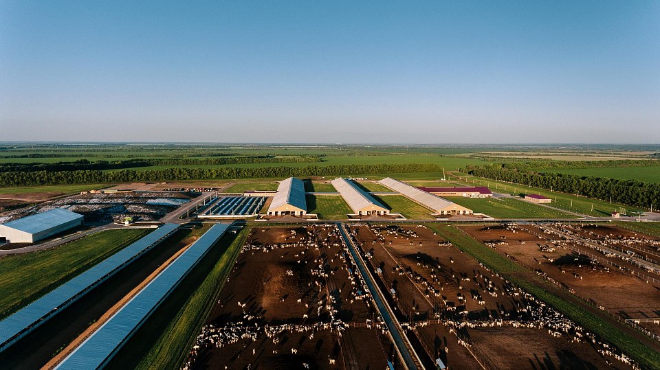 EkoNiva-Gruppe setzt auf Ökostrom | Artikel | Ekosem-Agrar